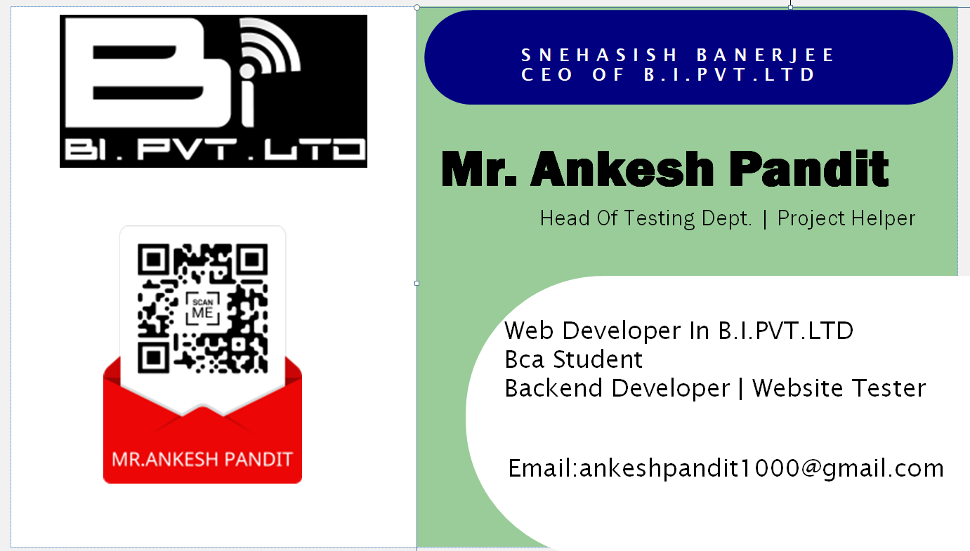 ANKESH PANDIT PROFILE IN B.I.PVT.LTD